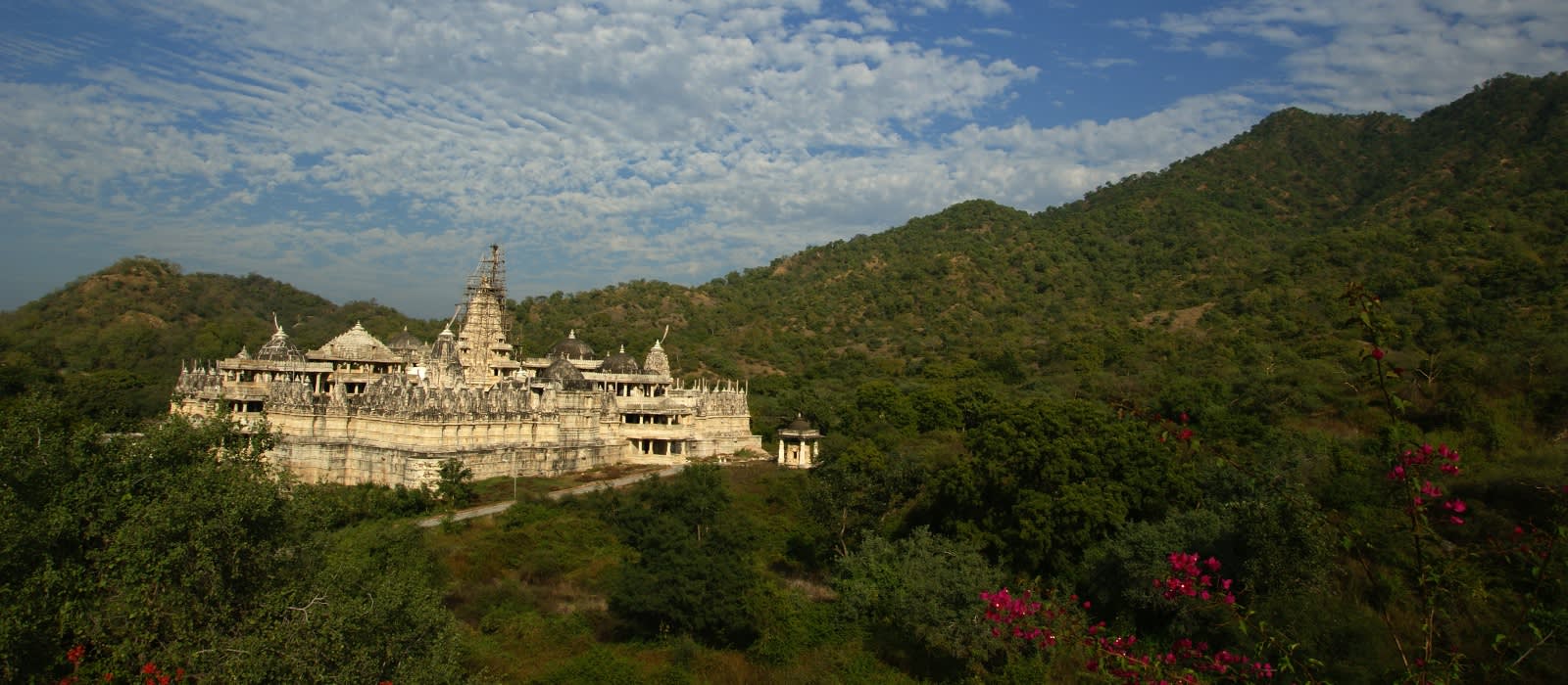 Ranakpur Safari & Private India Trips | Enchanting Travels