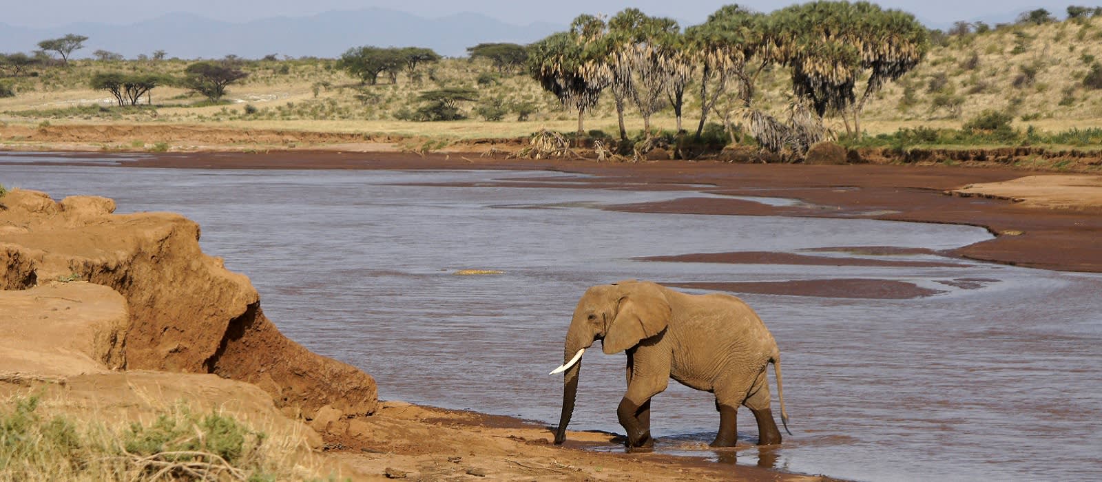 Suguta Valley Tour & Kenya Trip | Enchanting Travels
