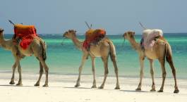 Chalbi Desert Safari & Kenya Trip | Enchanting Travels