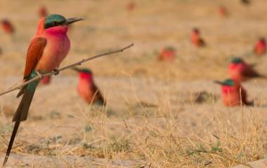 Best Time to Visit Namibia by Month | Enchanting Travels