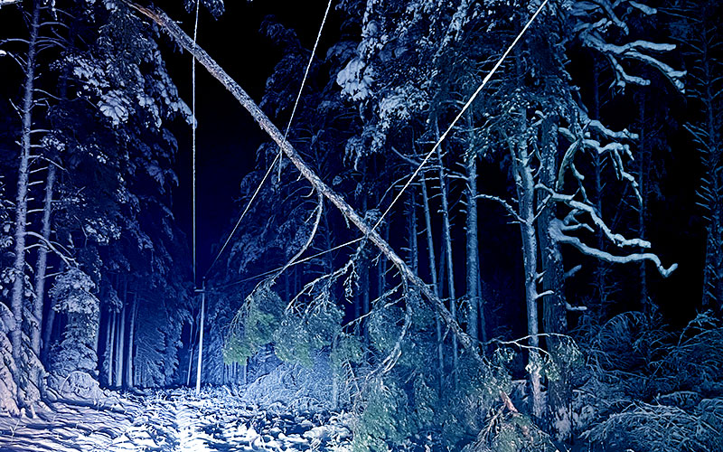 Avaleht - Elektrilevi