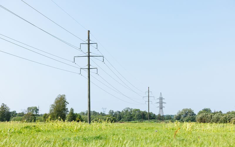 Avaleht - Elektrilevi