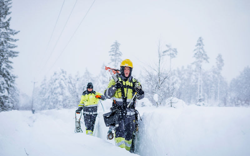 Avaleht - Elektrilevi