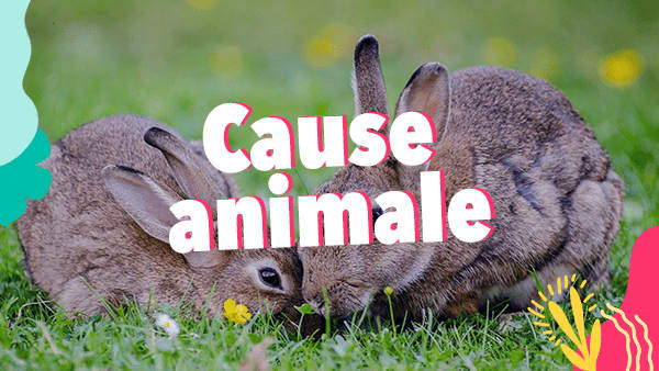 4 associations en faveur de la cause animale - Energic