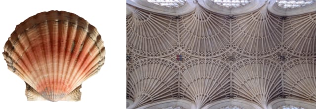 Lessons Engineers and Architects Should Learn from Nature and Topology ... Lessons Engineers and Architects Should Learn from Nature and Topology ...