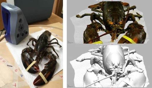 5 Questions on 3D Scanning - Engineering.com