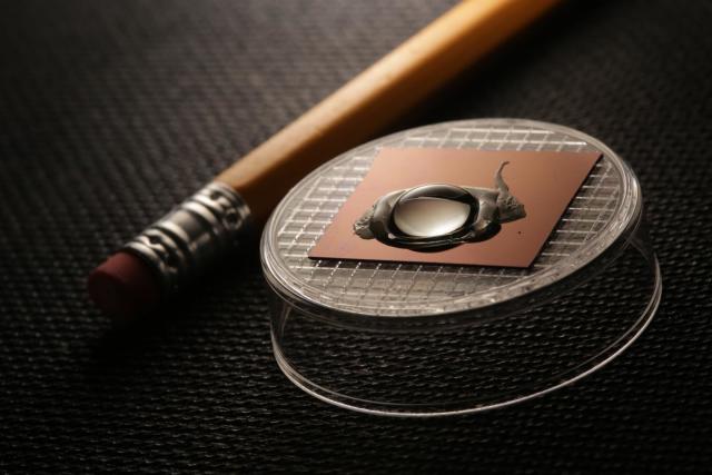 Engineers Invent Novel Detection Method for DNA Mutations - Engineering.com