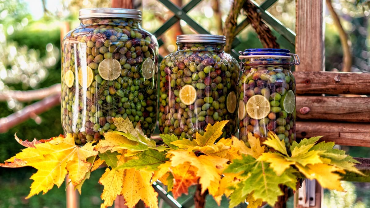 how to prepare olives for pickling