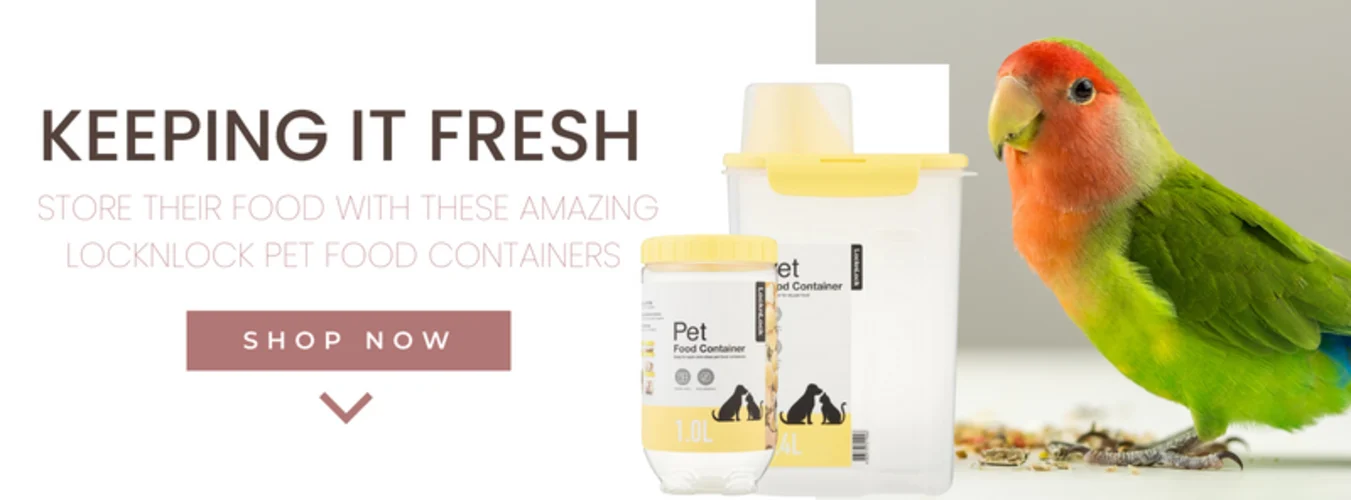 ePETstore | South Africa’s coolest online pet store