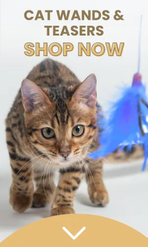 Login to Your Account | ePETstore