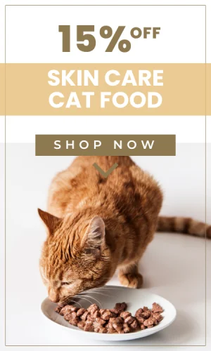 ePETstore | South Africa’s coolest online pet store
