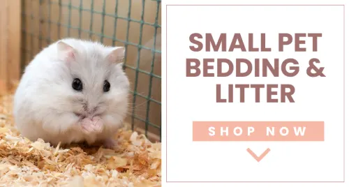 ePetStore | South Africa’s coolest online pet store