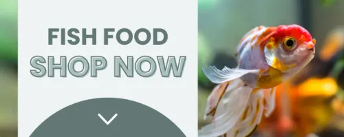 Login to Your Account | ePETstore