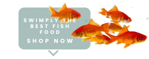 ePetStore | South Africa’s coolest online pet store