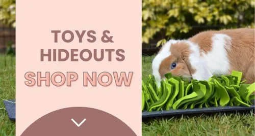 Shop Dog Products Online | ePETstore
