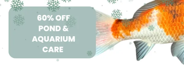 Product Specials | ePETstore