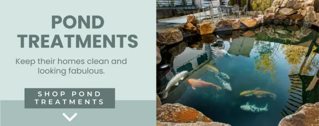 ePETstore | South Africa’s coolest online pet store
