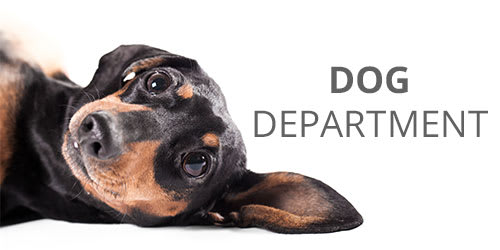 ePetStore | South Africa’s coolest online pet store