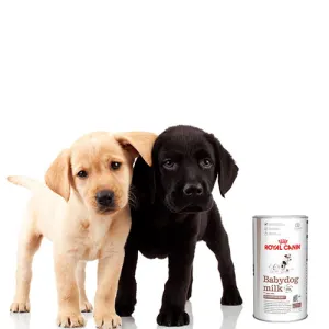 ePETstore | South Africa’s coolest online pet store