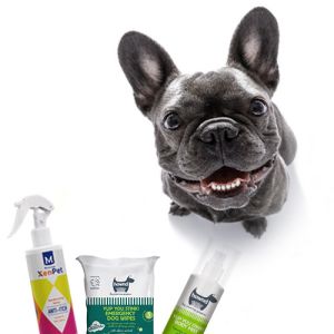 ePetStore | South Africa’s coolest online pet store