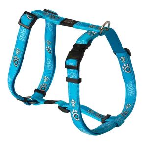 Shop Our Wide Range of Dog Harnesses Online | ePETstore
