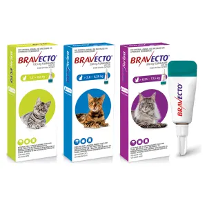 Shop Bravecto Pet Tick & Flea Range Online | ePETstore.co.za