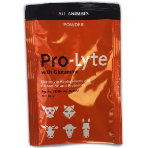 Pro-Lyte with Glutamine for Dogs and Cats | ePETstore