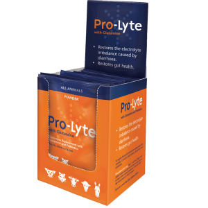 Pro-Lyte with Glutamine for Dogs and Cats | ePETstore