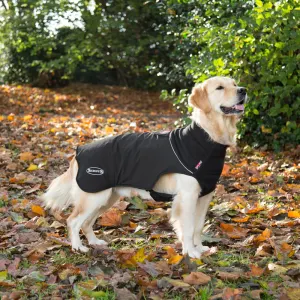 Buy Scruffs Quilted Thermal Dog Coat Online | ePETstore