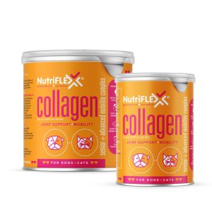 Buy Dog Hip & Joint Care Products Online | ePETstore