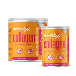 NutriFlex Advanced Mobility Supplement for Dogs and Cats | ePETstore