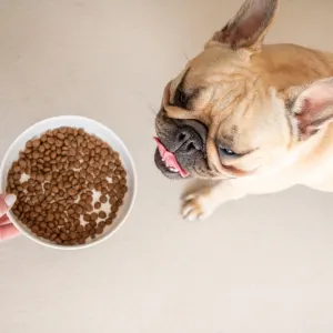Emperor Puppy Dog Food | ePETstore