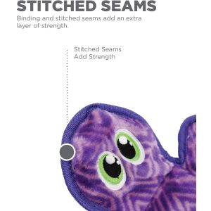 Shop Invincible Gecko Dog Chew Toy Online | ePETstore