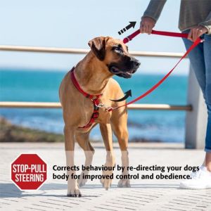 Rogz Control Multi Dog Lead Online | ePETstore