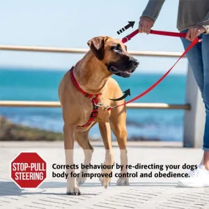 Rogz Control Multi Dog Lead Online | ePETstore