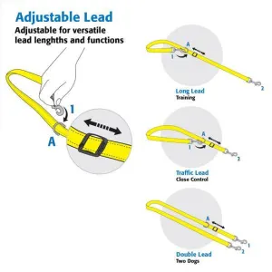 Rogz Control Multi Dog Lead Online | ePETstore