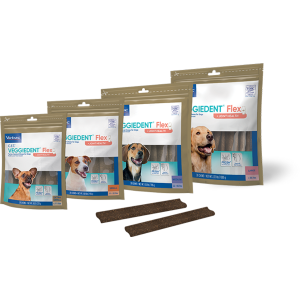 Shop Dog Products Online | ePETstore