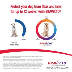 Buy Bravecto Spot On Tick & Flea for Dogs Online | ePETstore