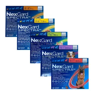 Shop NexGard Spectra Chewable Tablets for Dogs | ePETstore