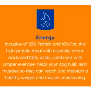 Shop Montego Classic Adult Dog Food Online | ePETstore