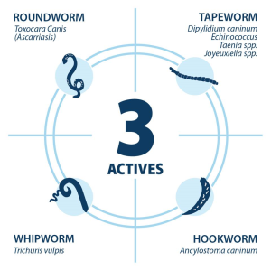 Buy TriWorm Dewormer for Dogs Online | ePETstore