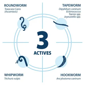 Buy TriWorm Dewormer for Dogs Online | ePETstore