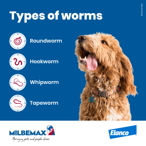 Milbemax Dewormer for Puppies & Small Dogs | ePETstore