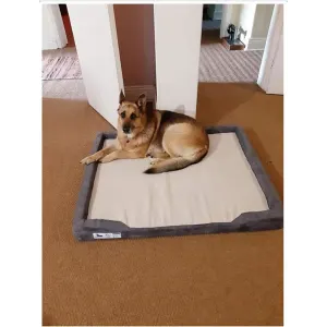 Buy Orthopaedic Memory Foam Throne Dog Bed Online | ePETstore