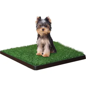 Wee-Wee Indoor Pet Potty Grass Patch For Dogs | ePETstore