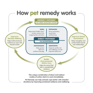 Pet Remedy Calming Spray | ePETstore