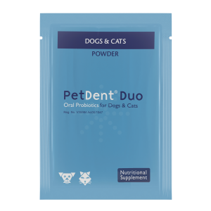 Pet Dent Duo Oral Probiotic Sachets for Dogs & Cats | ePETstore