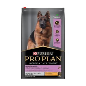 Purina Pro Plan Performance Dog Food | ePETstore