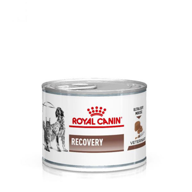 Buy Royal Canin Recovery Wet Dog & Cat Food Online | ePETstore