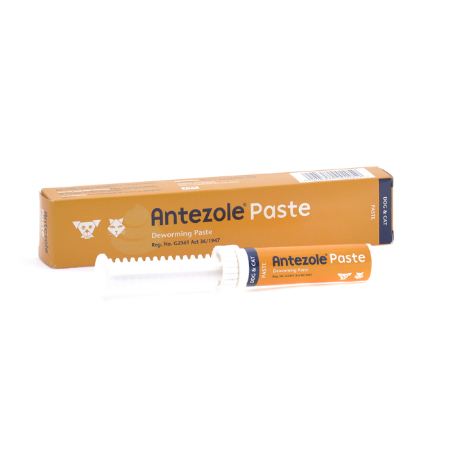 Buy Antezole Deworming Paste for Dogs and Cats Online | ePETstore